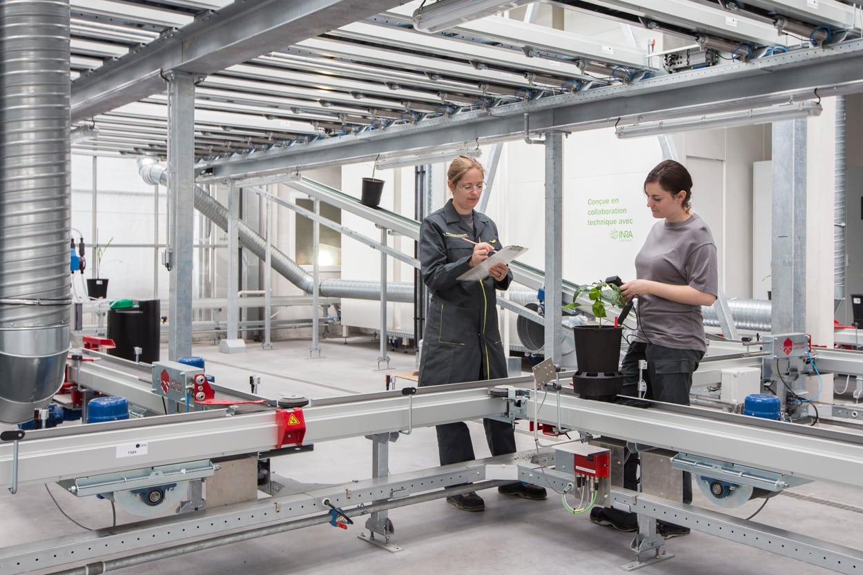 INRA and the Group Roullier: Partners in Plant and Animal Nutrition ...