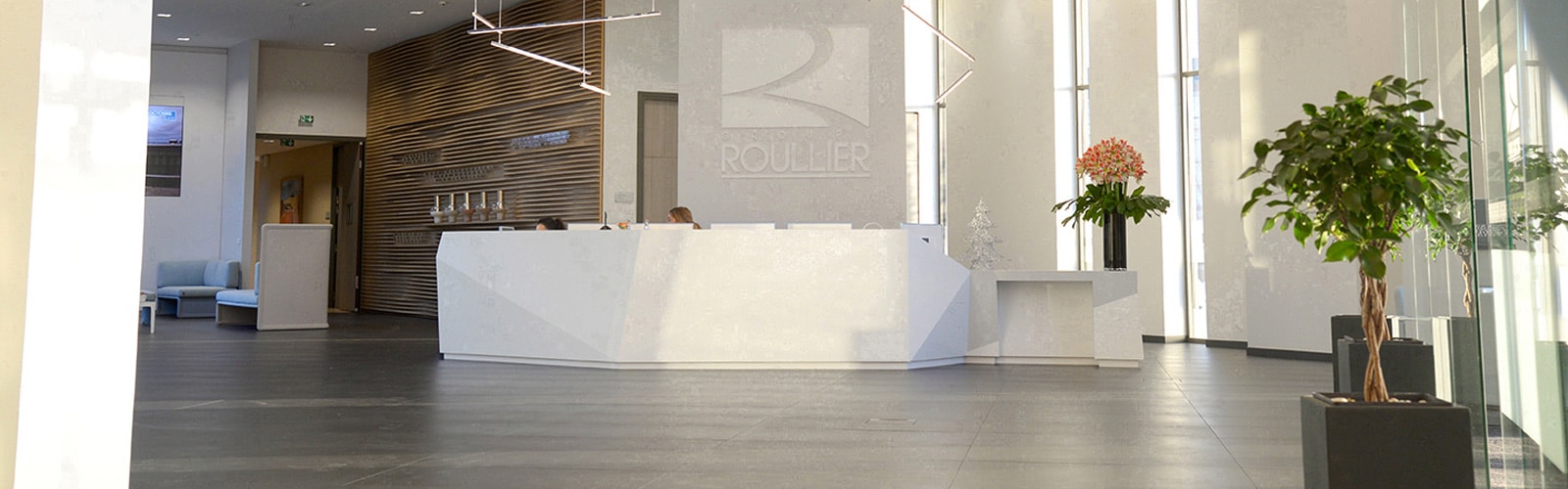 Gouvernance | Groupe Roullier