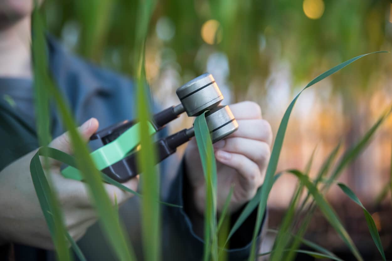 Un Grupo comprometido | Groupe Roullier