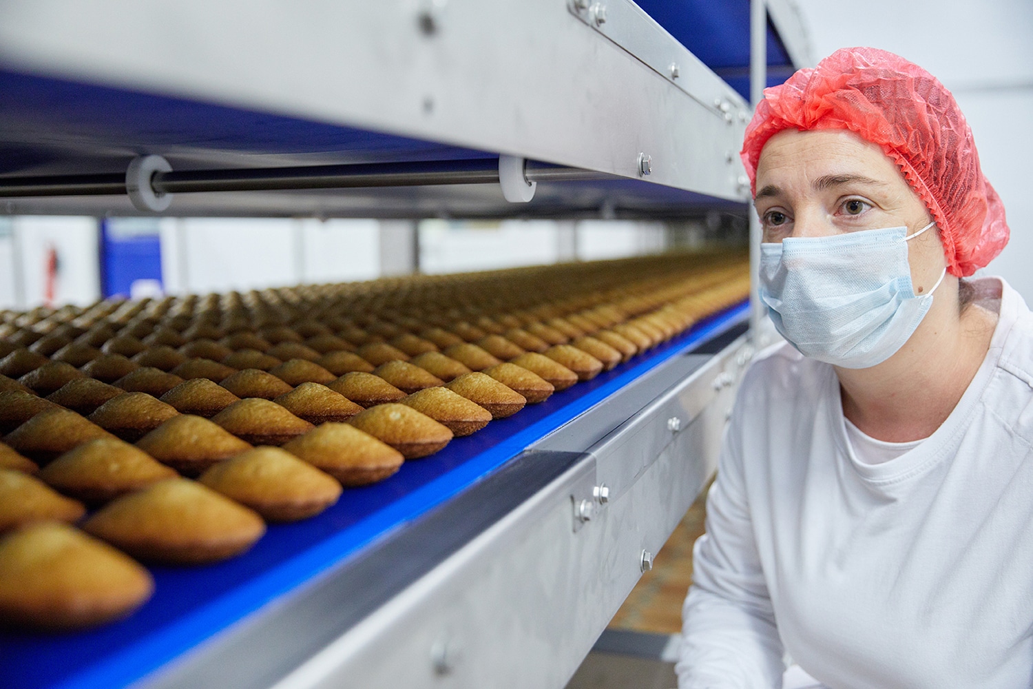 Agroalimentaire - Pâtisseries traditionnelles | Groupe Roullier