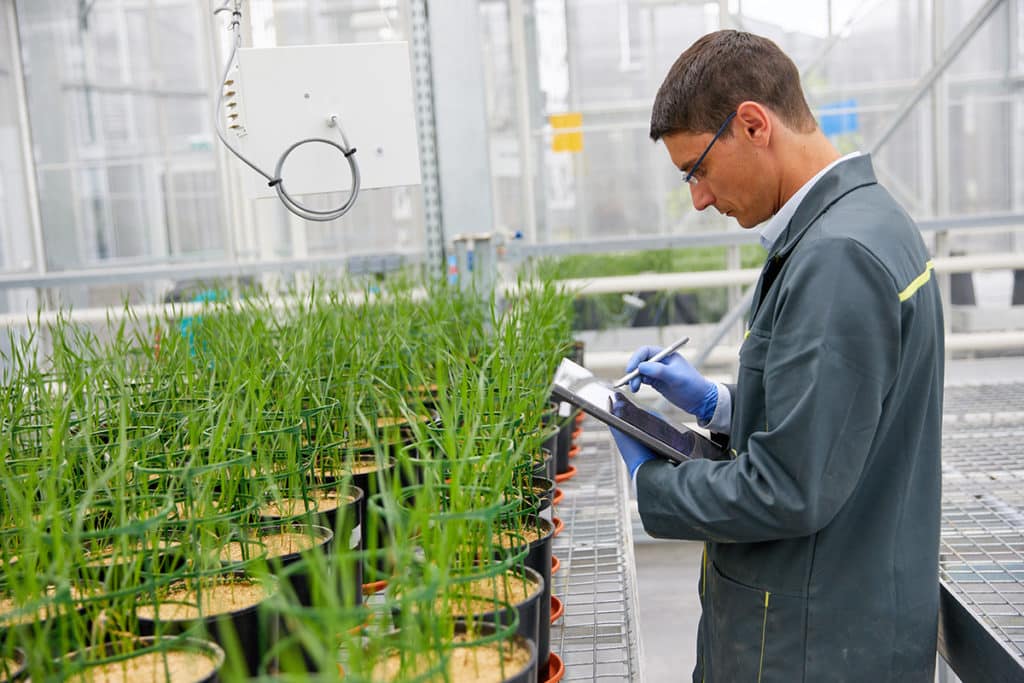 TIMAC AGRO - Soil and plant nutrition and animal production | Groupe ...