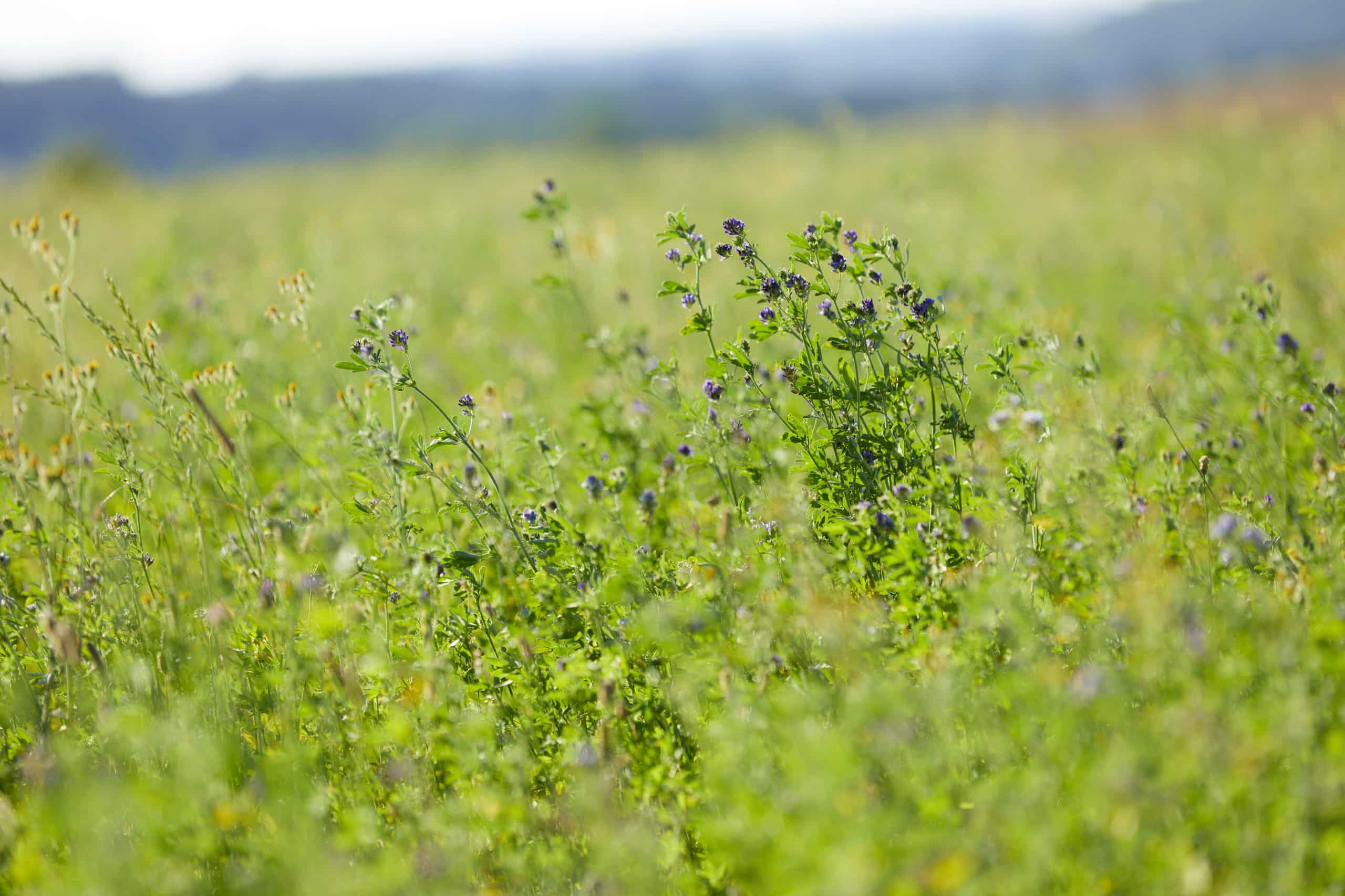 Un Groupe engagé | Groupe Roullier