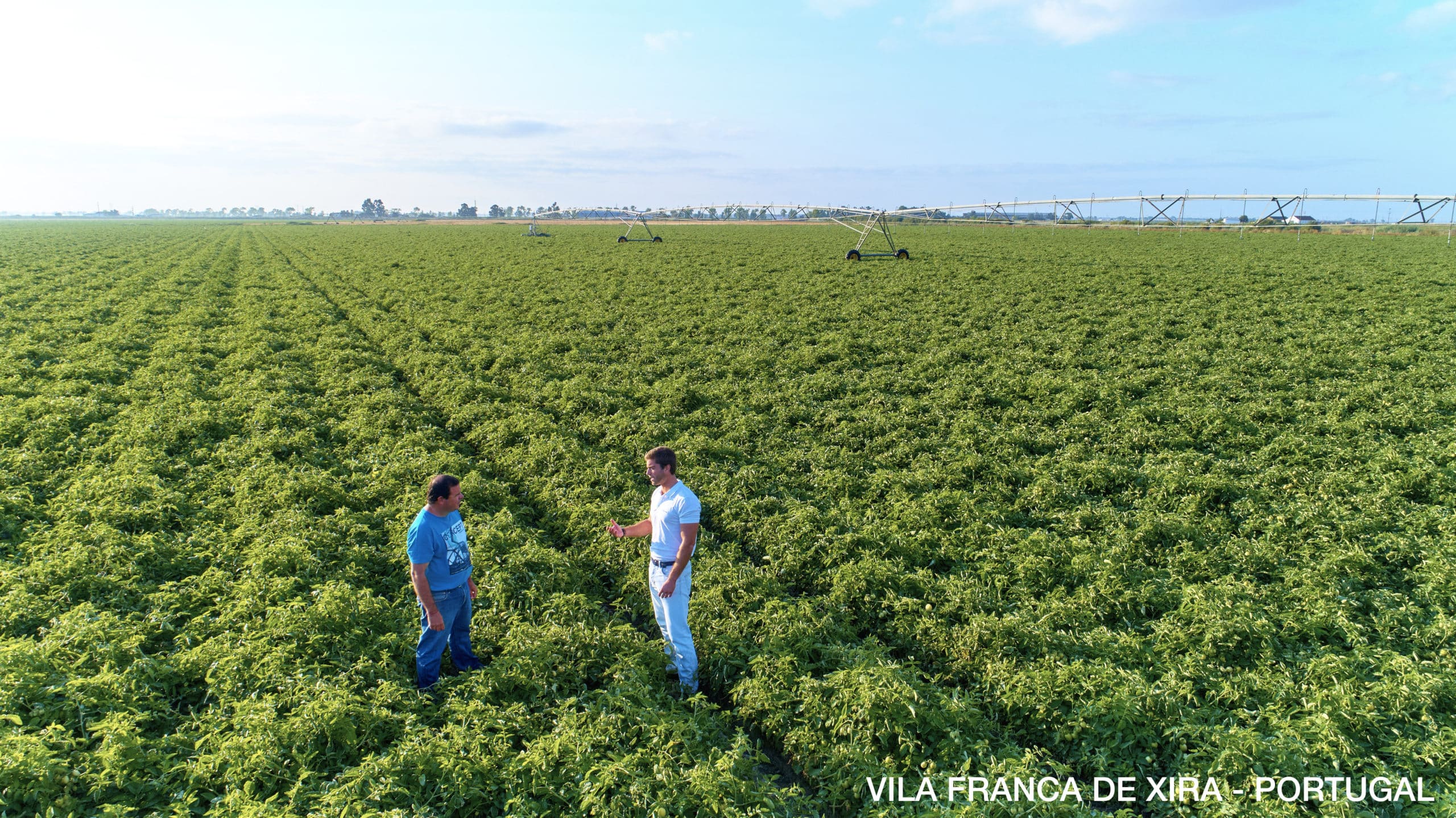 TIMAC AGRO - Soil and plant nutrition and animal production | Groupe ...